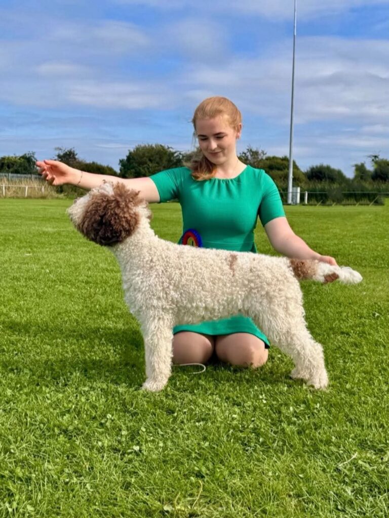 Munster Circuit 2025 – Blog | Valburg Lagotto Heaven Kennel